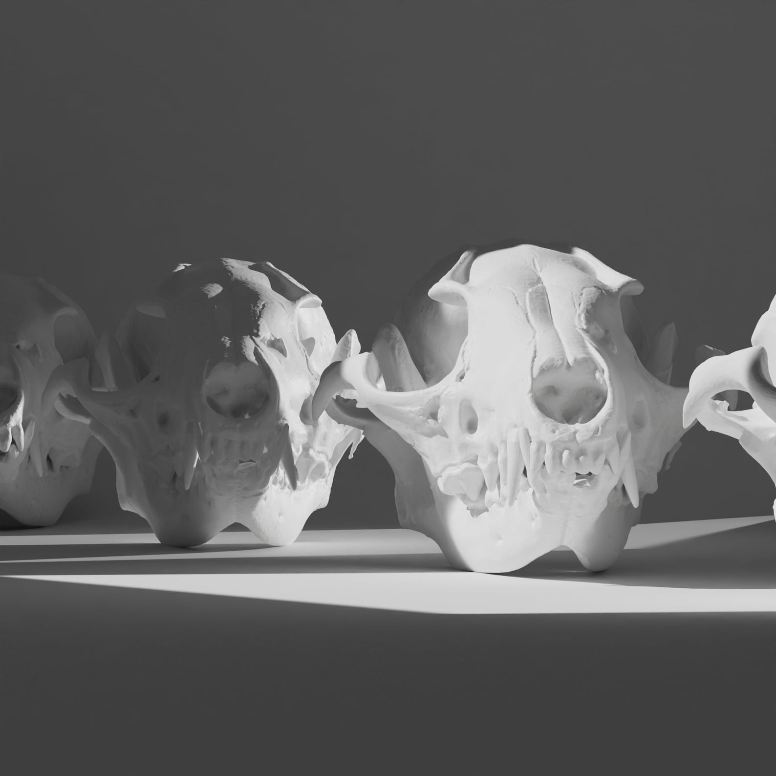3d-printable Model of a Gray Fox Skull (jaw Closed) - Etsy