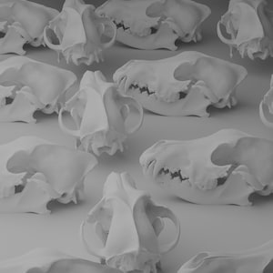 3d-printable Model of a Wolf Skull - Etsy