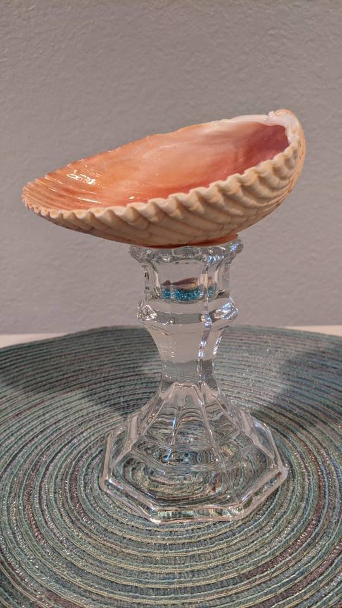 Shell Holders - Etsy