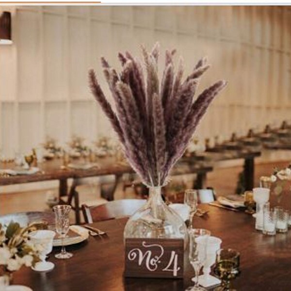 Pompous Grass - Etsy