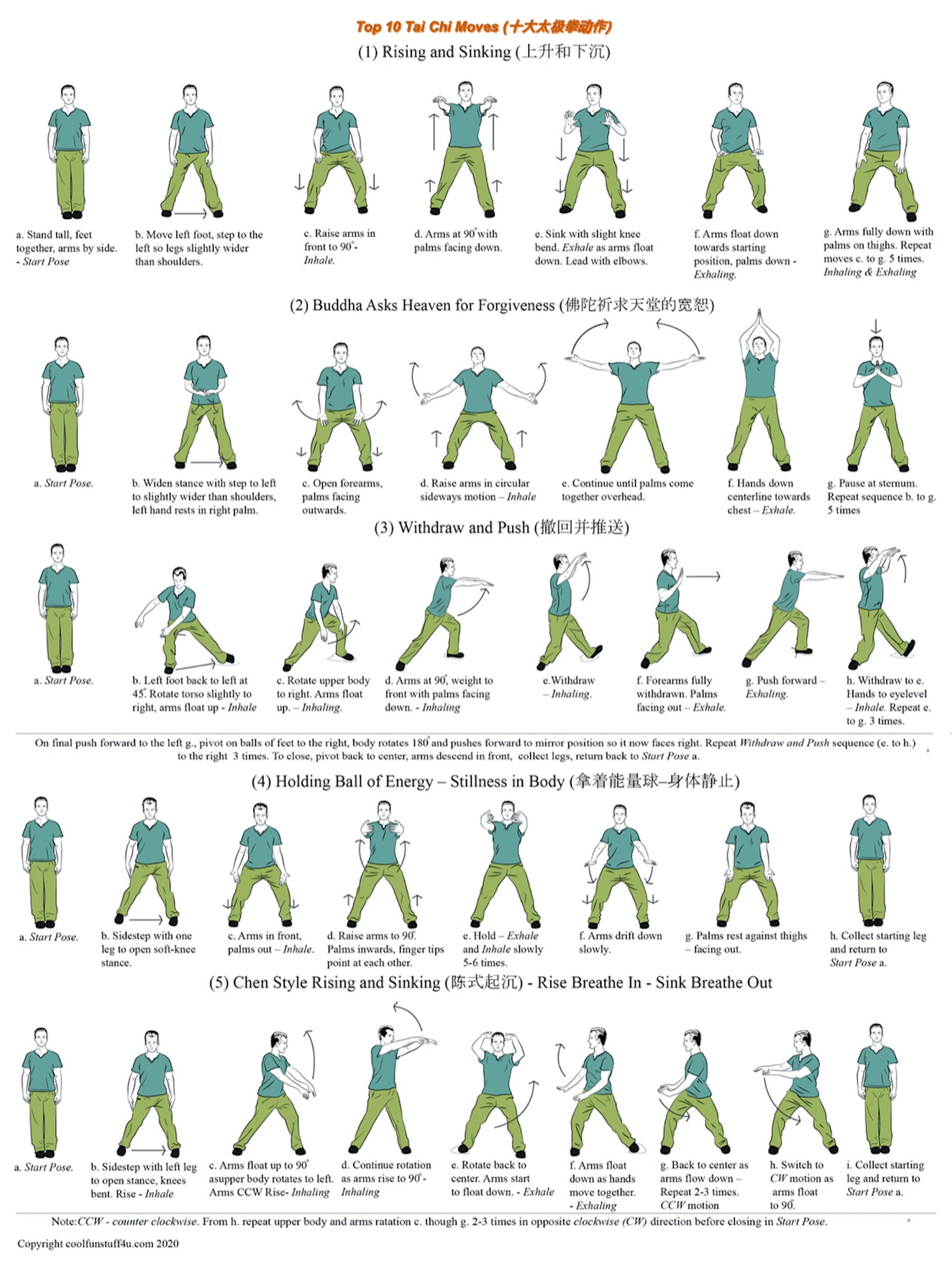 Top 10 Tai Chi Moves - Etsy