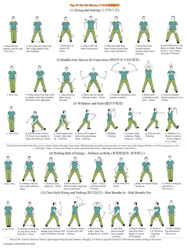 Top 10 Tai Chi Moves - Etsy