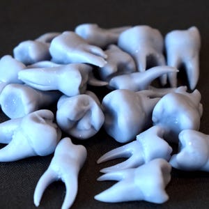 Human Molars Teeth Collection - STL Files for 3D Printer - Digital ...