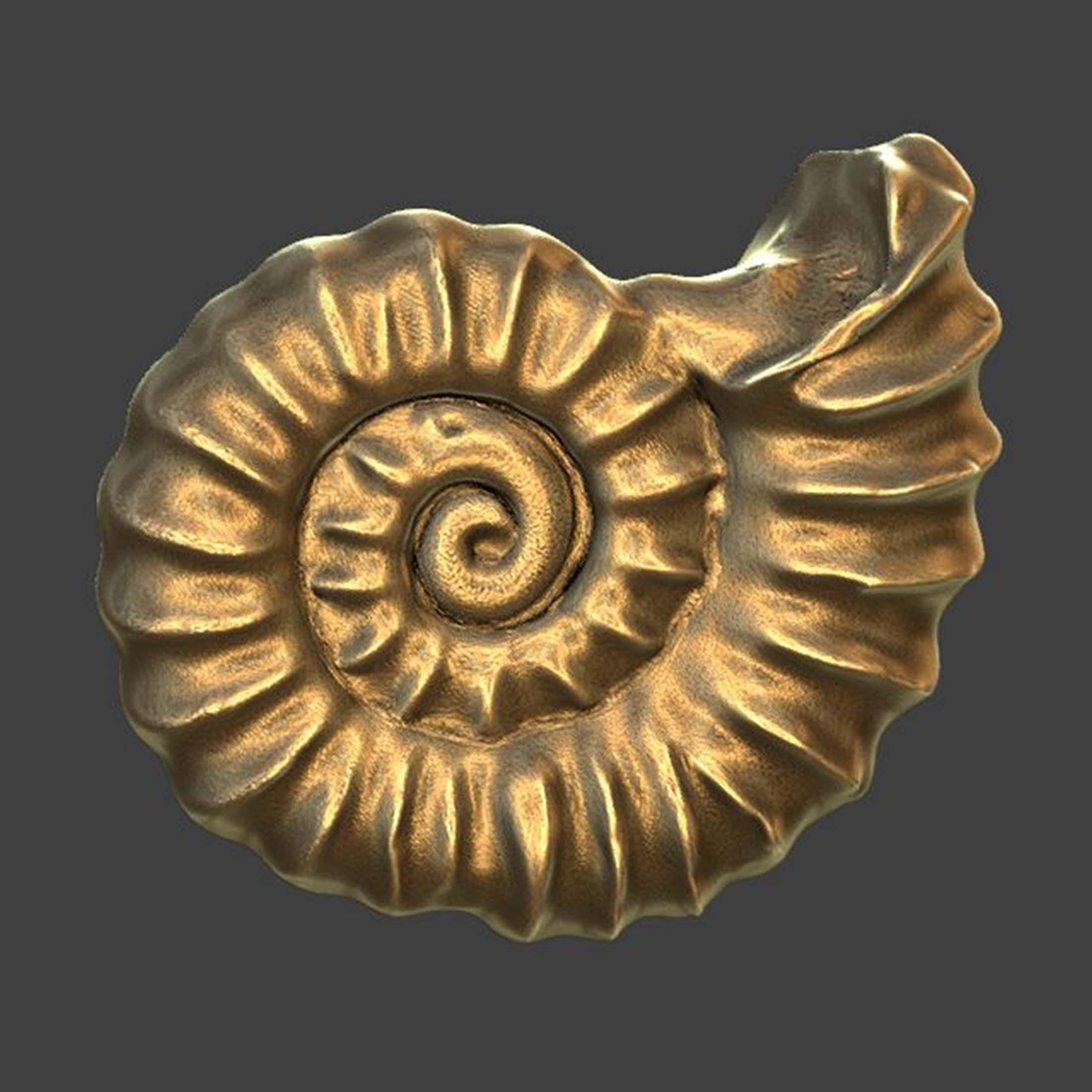 Ammonites Collection - STL Files for 3D Printer - Digital Download - 3D ...