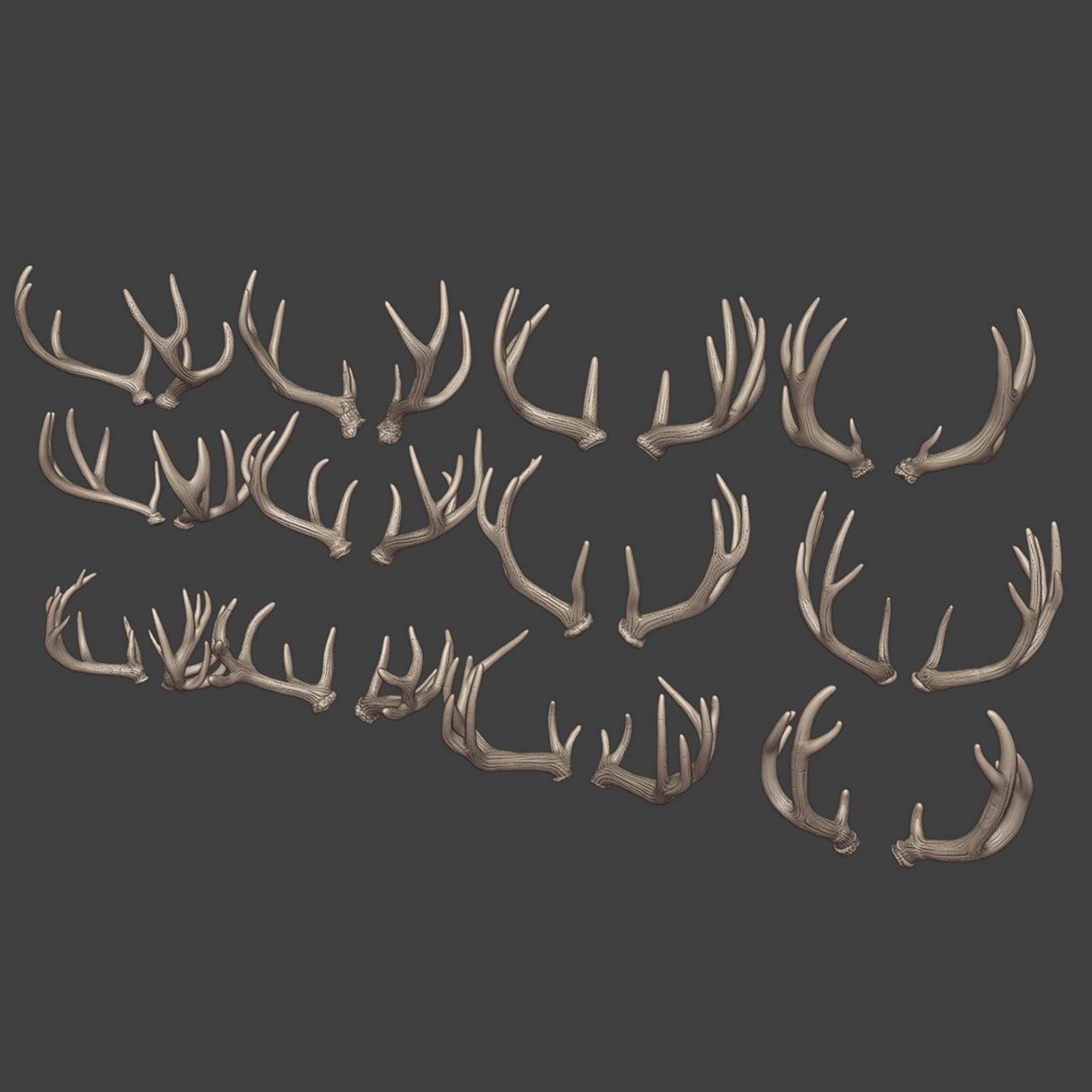 Deer Antlers Collection - 12 STL Files for 3D Printing | Digital ...