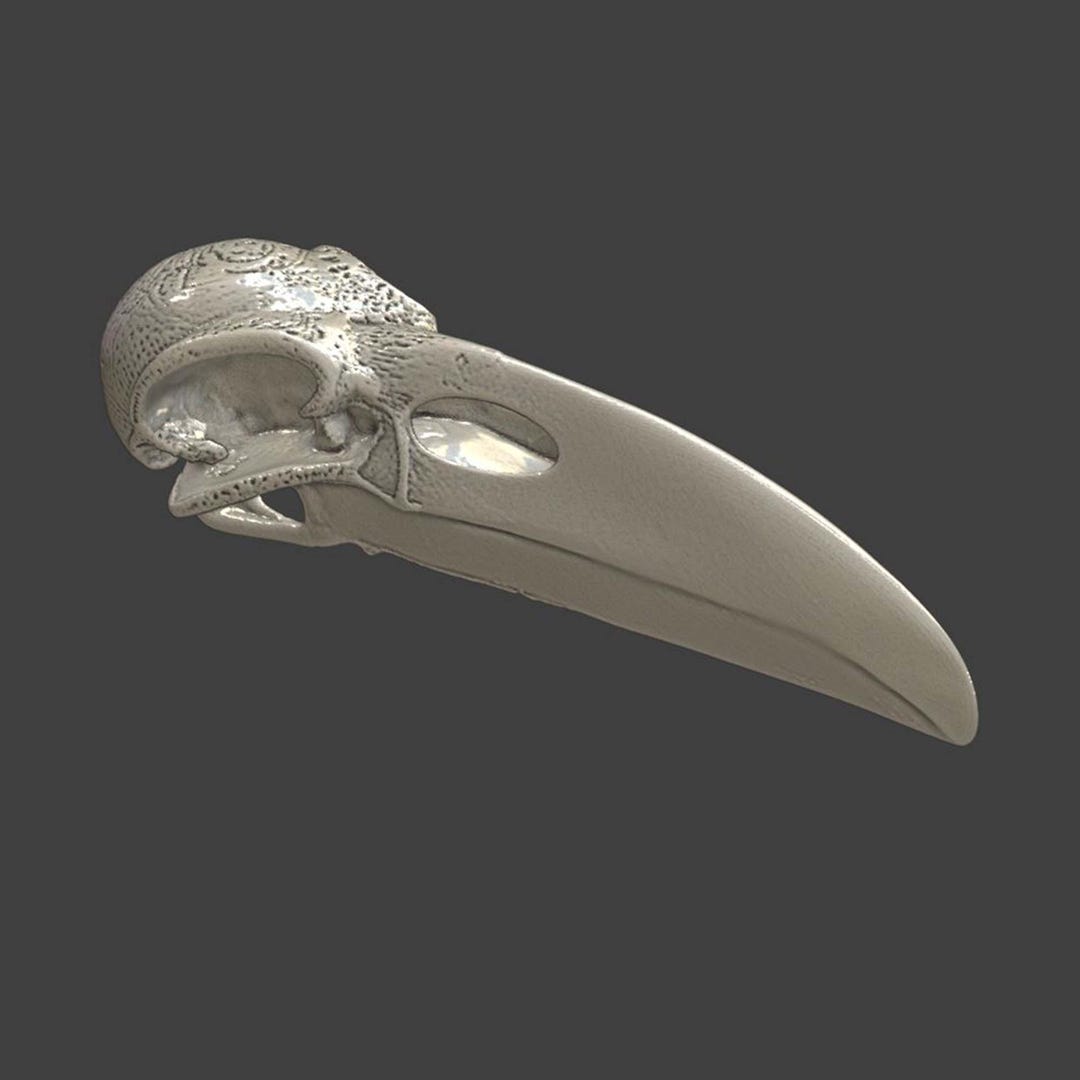 Raven Skull 3D Model - 1 STL File for 3D Printing | Digital Download - Etsy