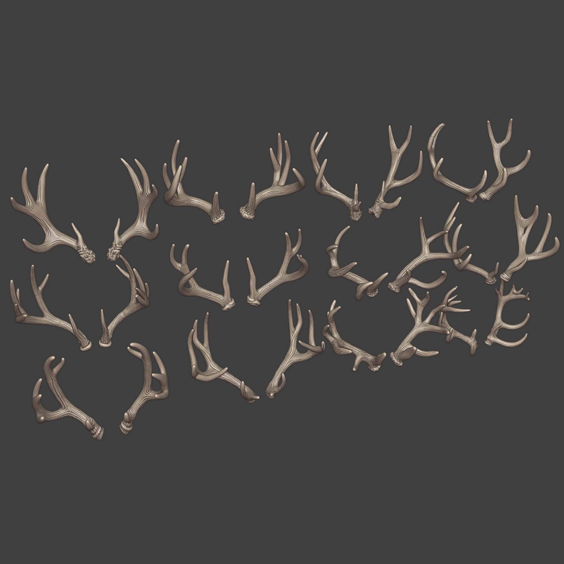 Deer Antlers Collection - 12 STL Files for 3D Printing | Digital ...