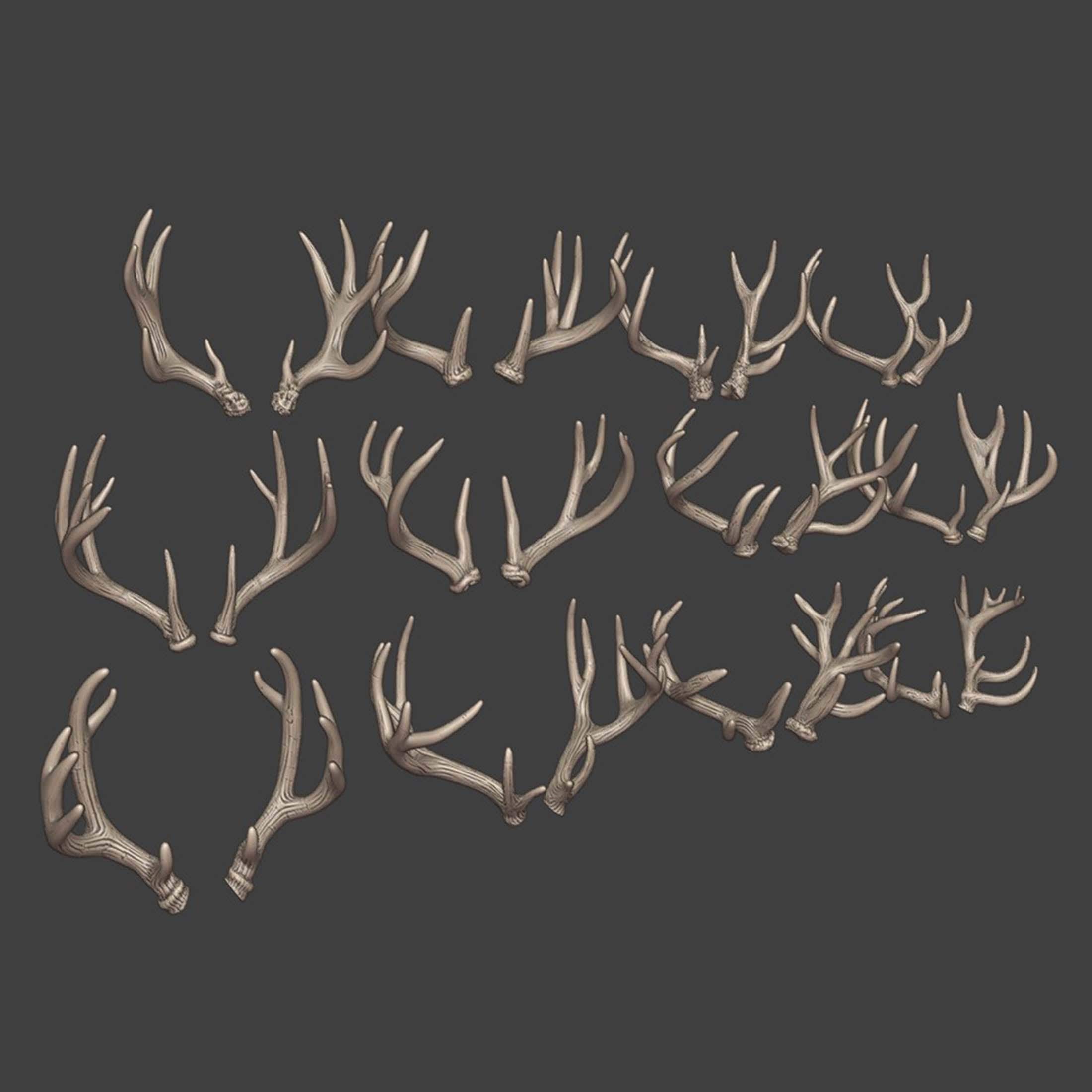 Deer Antlers Collection - 12 STL Files for 3D Printing | Digital ...
