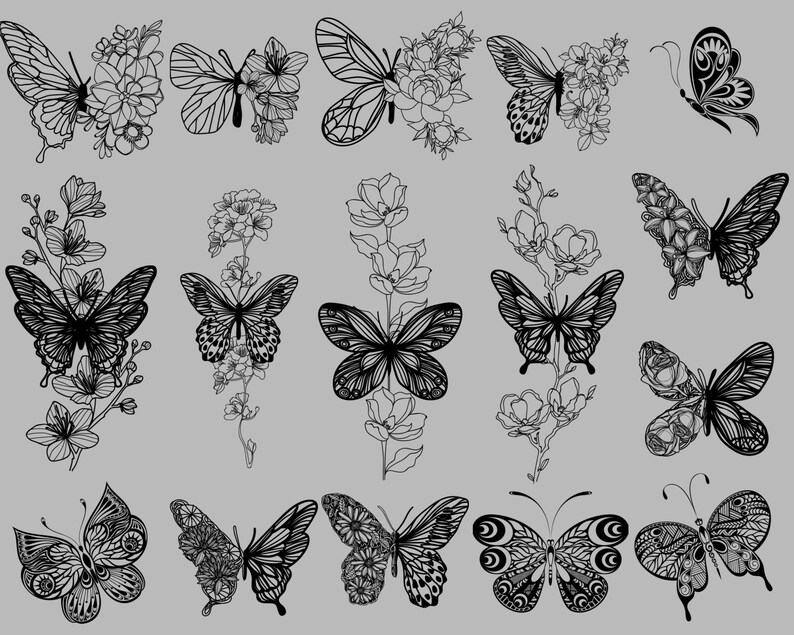 150 Butterfly Procreate Stamps Insect Procreate Stamps - Etsy