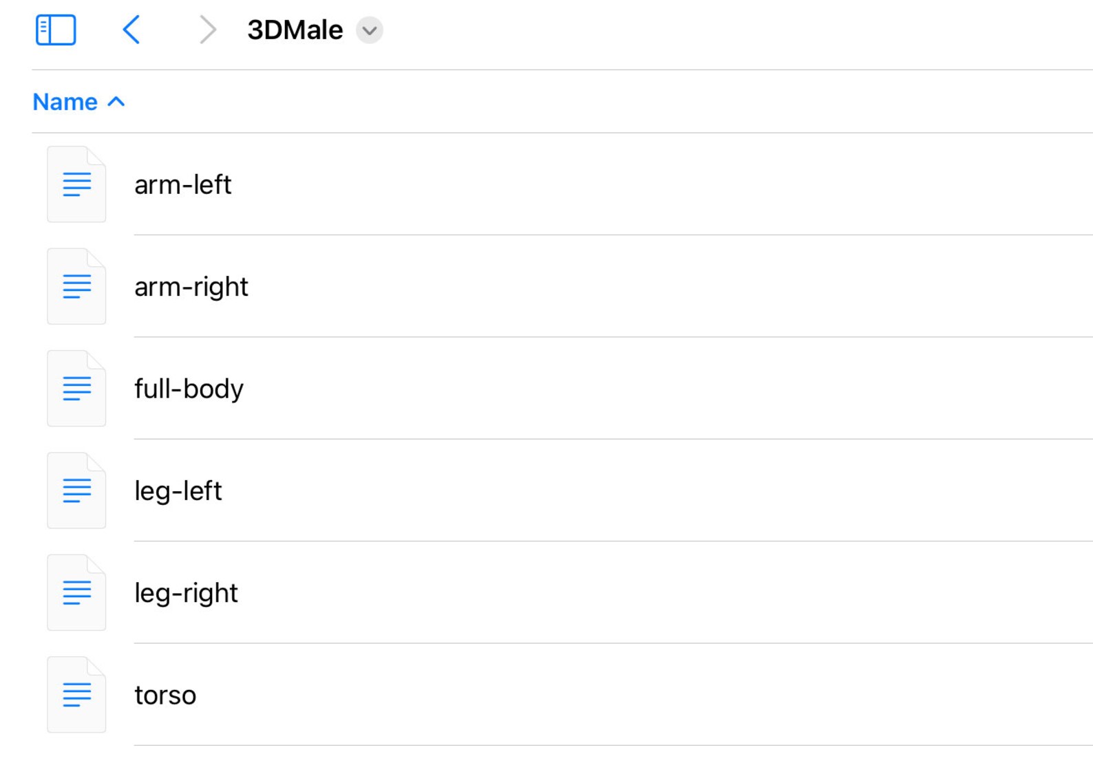 6 Procreate Male 3D Object Models 3D Male Model 3D Model 3D - Etsy