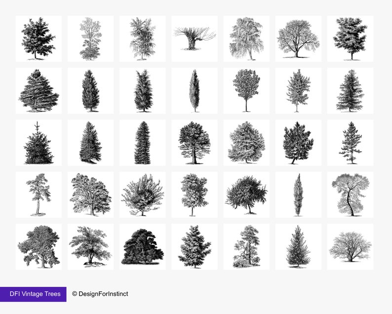 60+ Vintage Tree Stamp Brushes: Botanical Procreate Stamps (digital ...