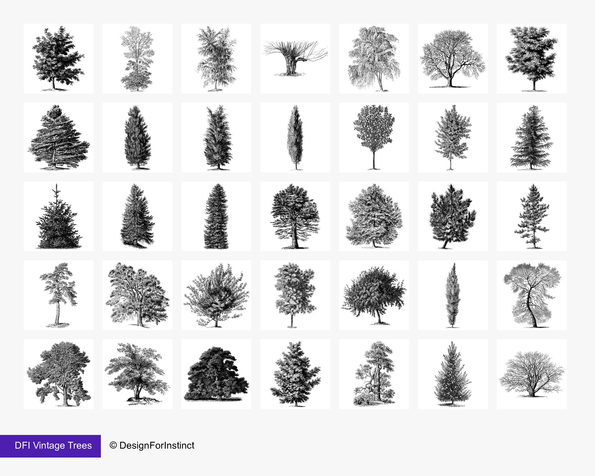 60 Vintage Procreate Tree Stamp Brushes Procreate Tree - Etsy