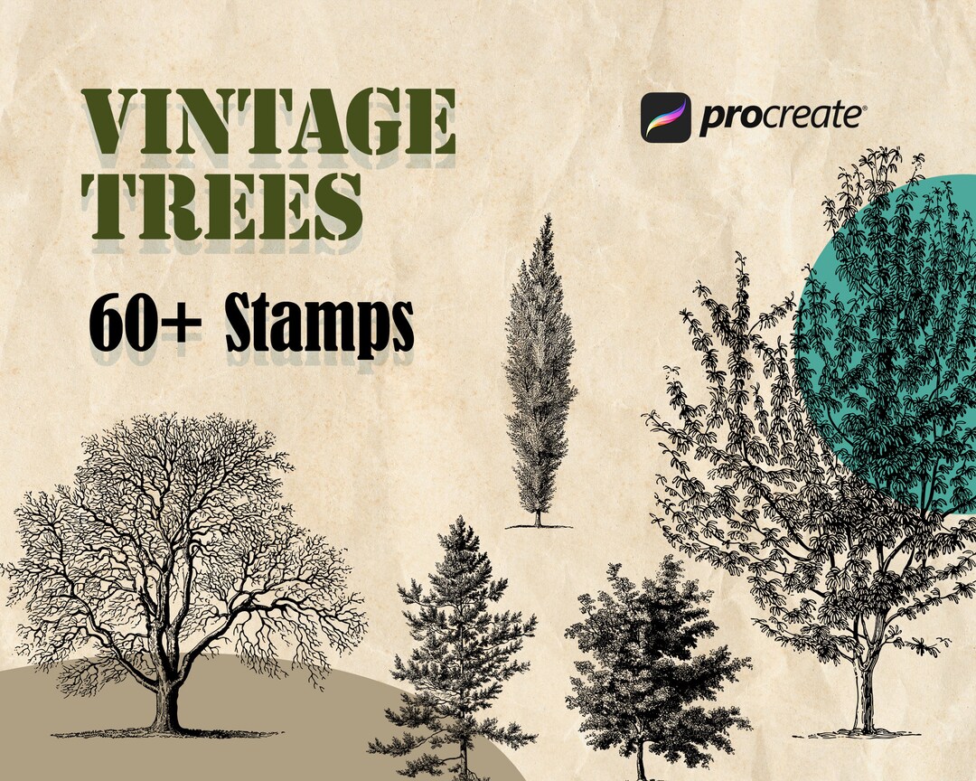 60+ Vintage Procreate Tree Stamp Brushes, Procreate Tree Brushes ...