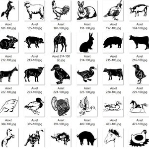 220 Procreate Farm Animals Stamps, Barn Animals for Procreate, Farm ...
