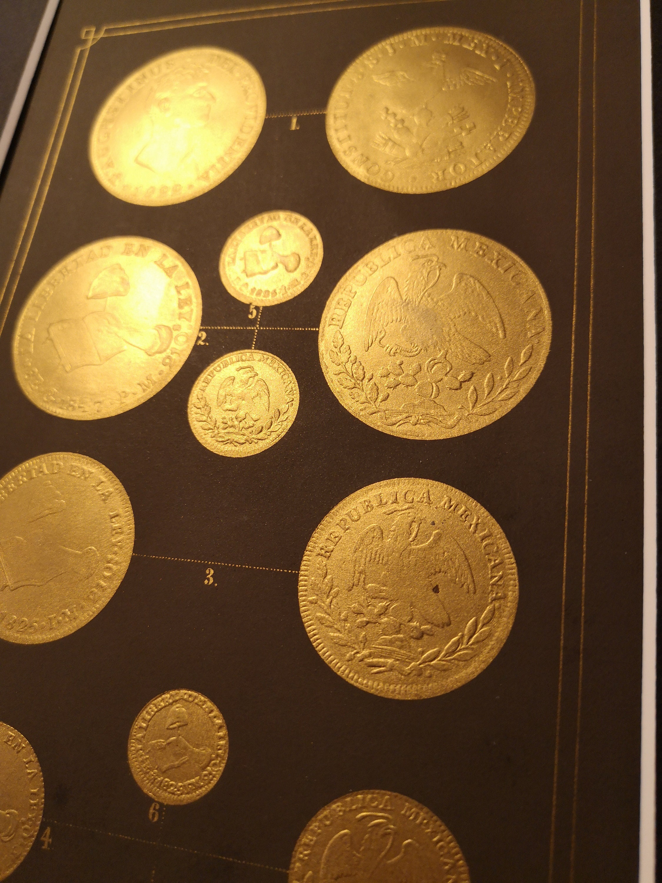 Framed Mexico Gold Coins Plate in Relief Print 1853 - Etsy