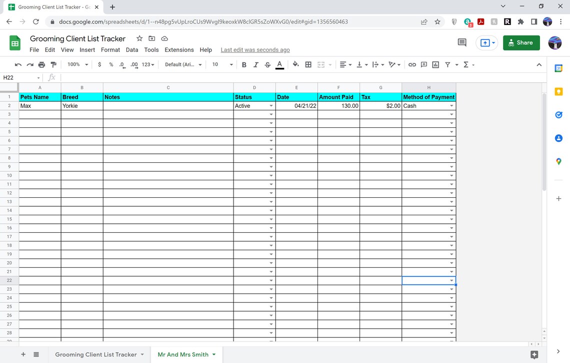 Client List Tracker-grooming-template-spreadsheet-google Sheets ...