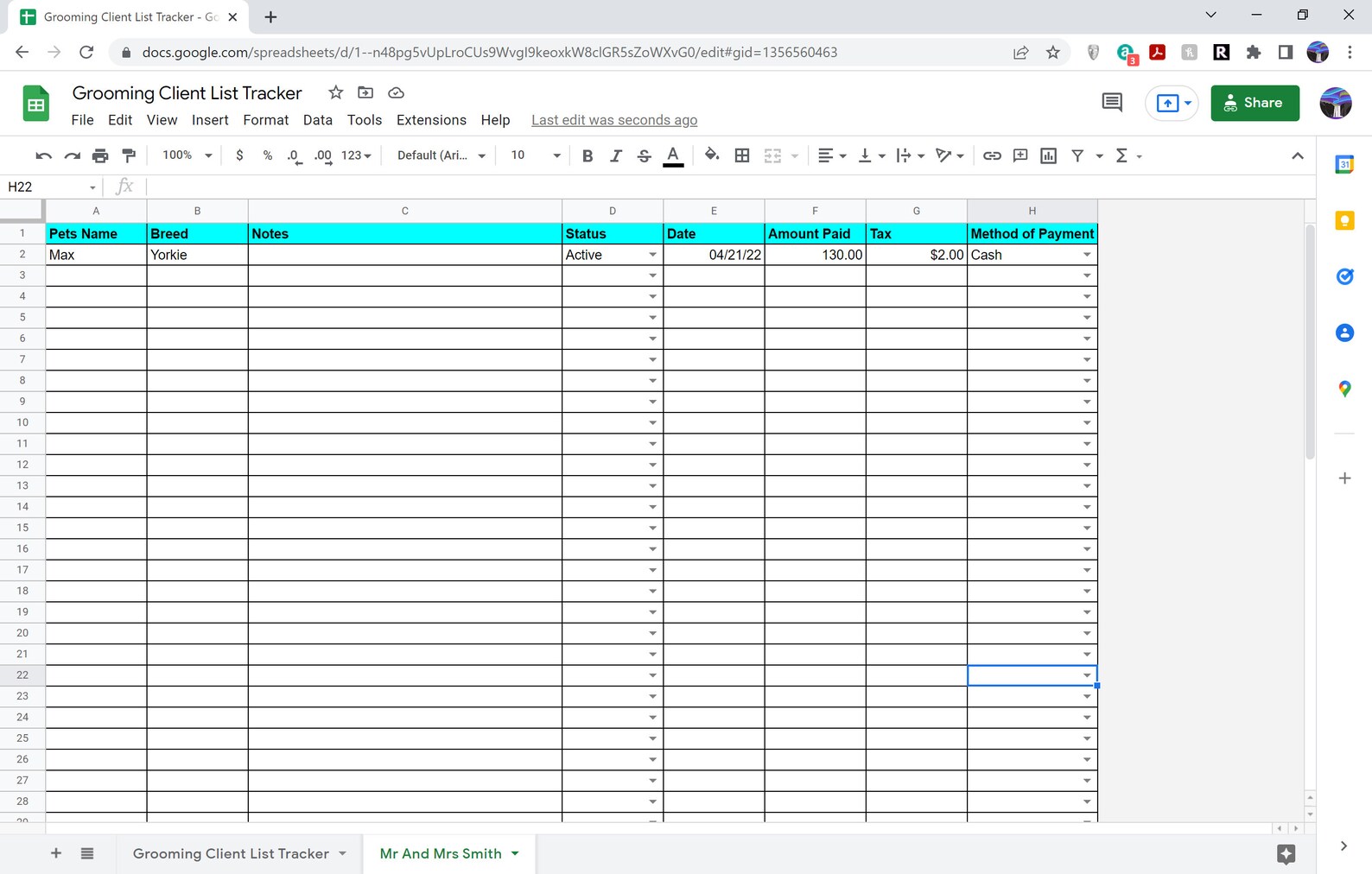 Client List Tracker-grooming-template-spreadsheet-google Sheets ...