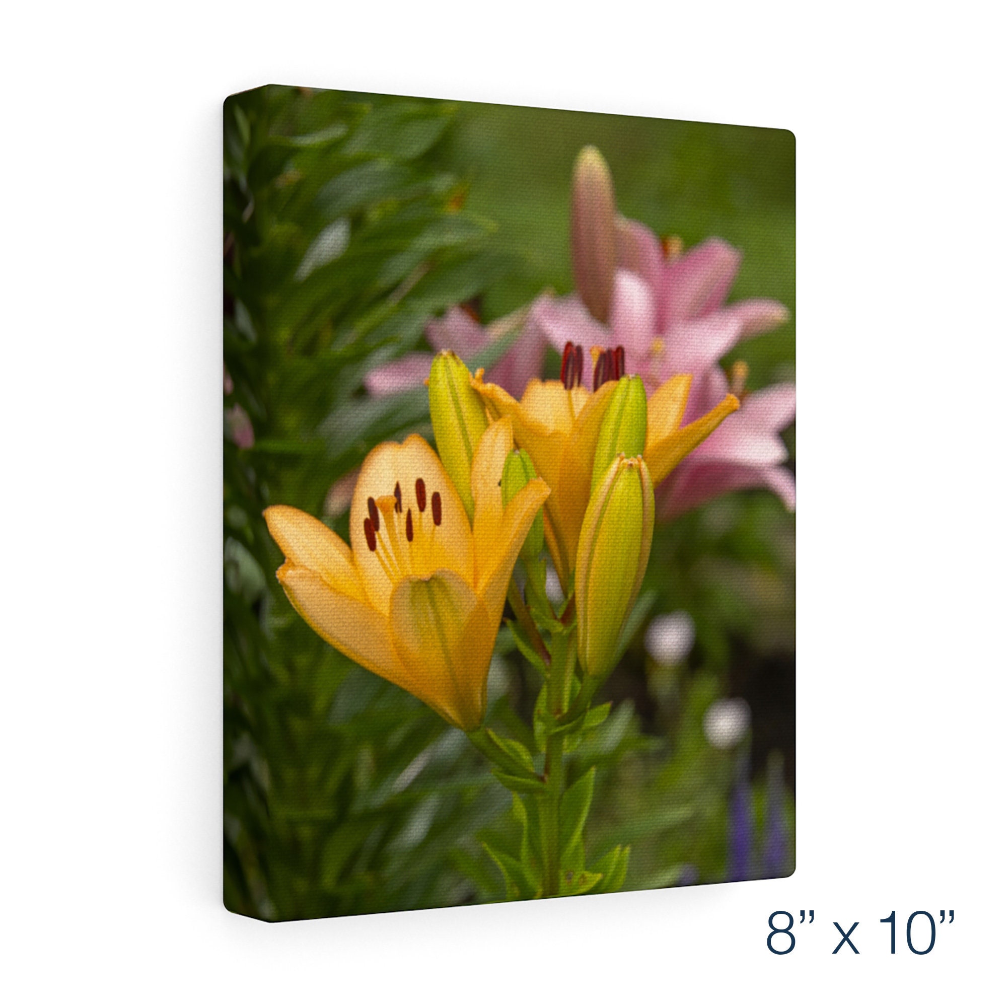 Lily Fine Art Photo Lily Canvas Print Floral Photo Canvas Print Trumpet ...