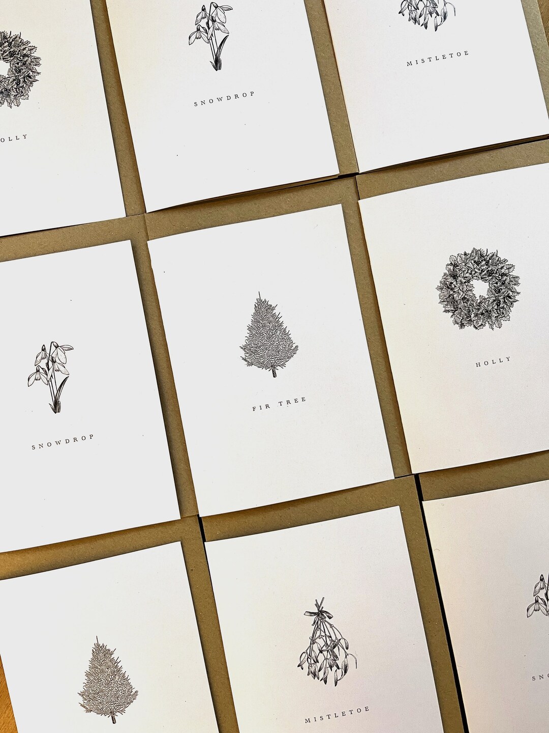 Botanical Illustration Christmas Cards pack of 4 X Cards Mistletoe ...