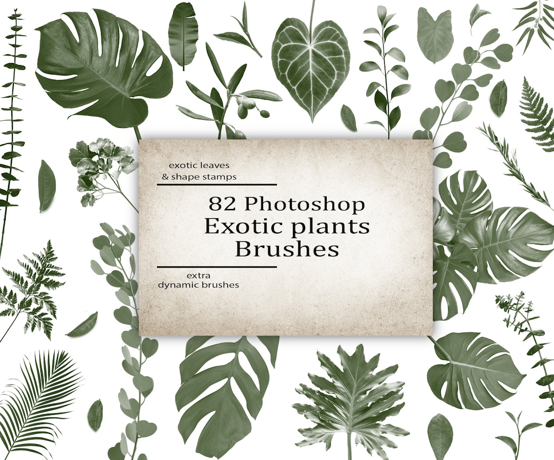 Exotic Leaves, Brushes for Photoshop, Monstera,banana Leaves, Tropical ...
