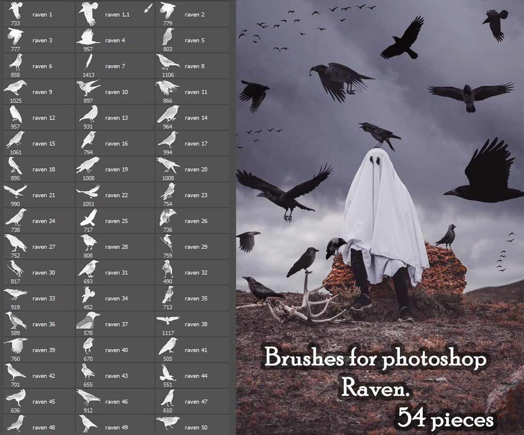 Raven Photoshop Brushes: Crows, Magpies, Halloween Decor (digital ...