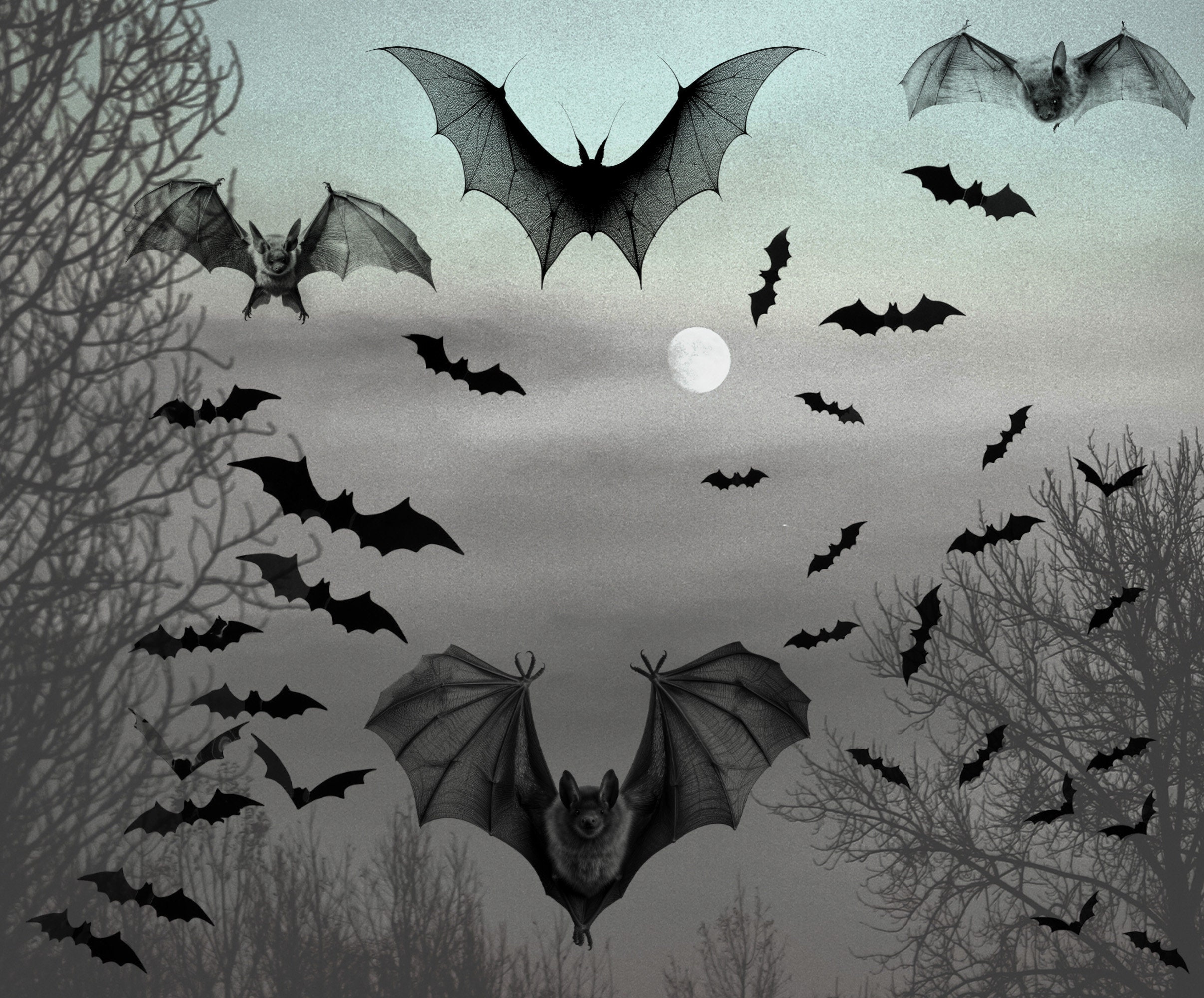 56 Photoshop Brushes Bats, Halloween Bat Brush for Ps, Bat Design Stamp ...