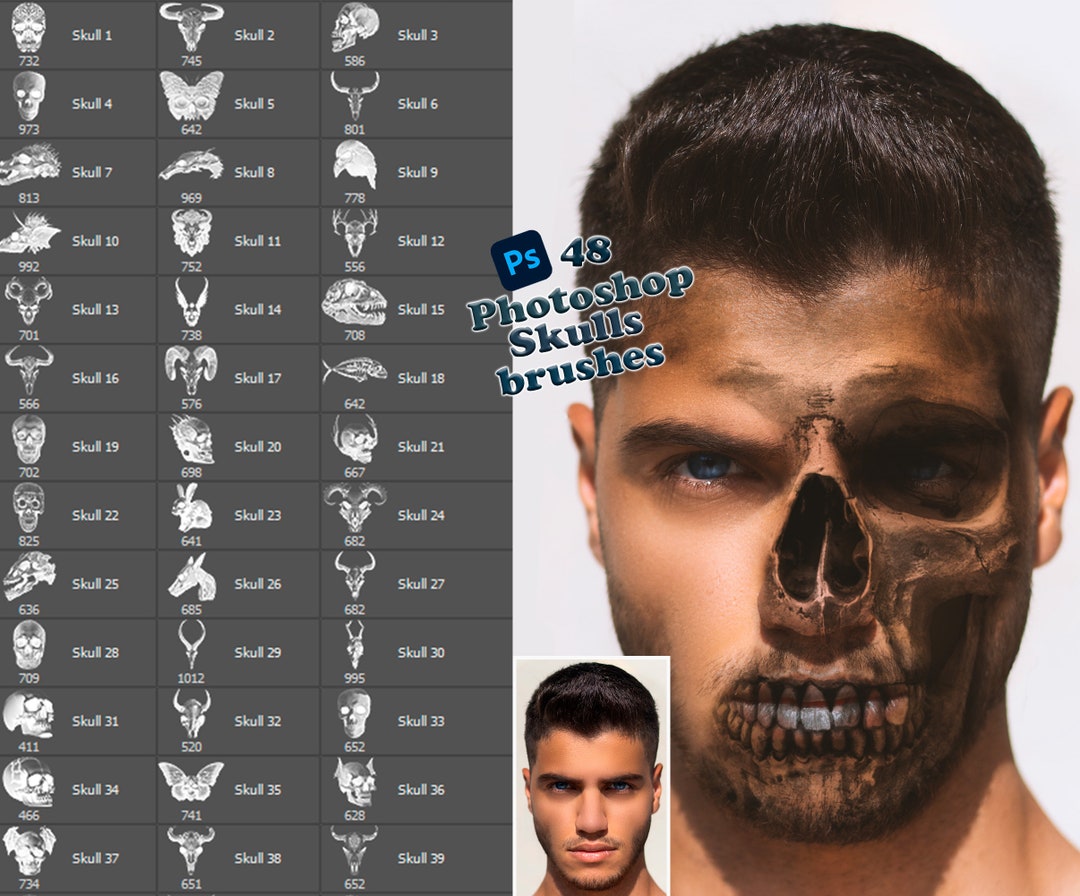 Skull, Photoshop Brushes. Animal Skulls, Human Skull Brushset, 48 ...