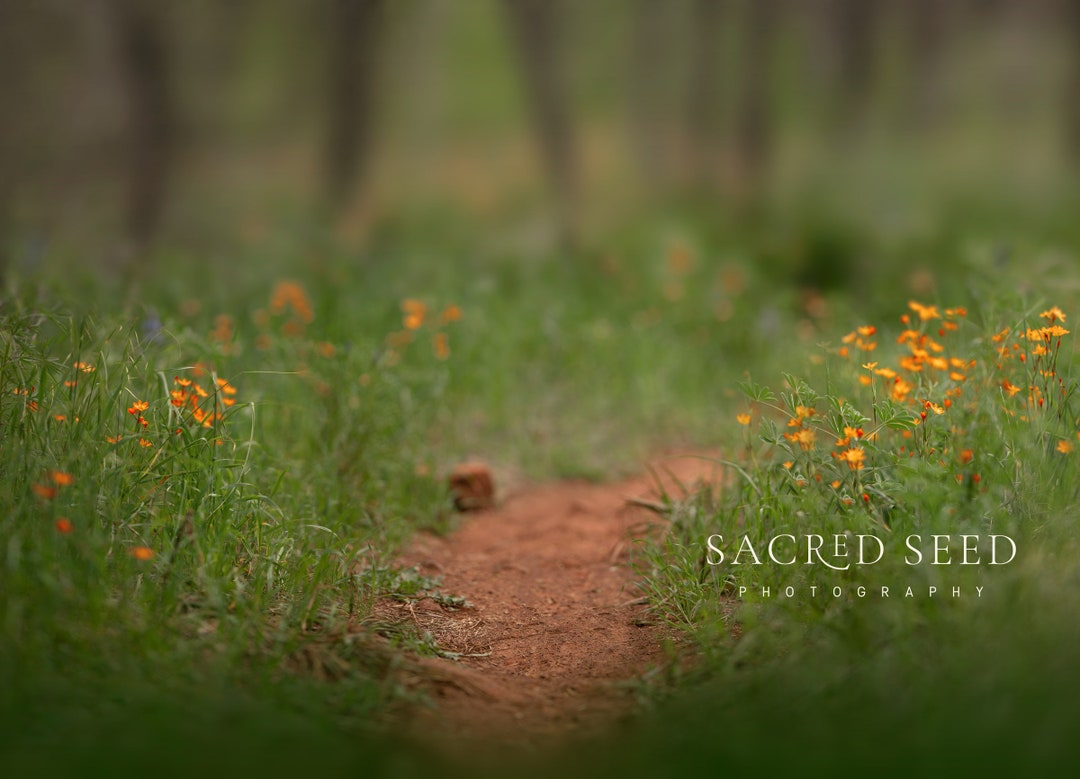 Spring Backdrop, Summer Digital Backdrop, Spring Digital Background ...