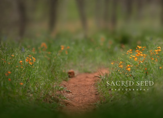 Spring Backdrop Summer Digital Backdrop Spring Digital - Etsy