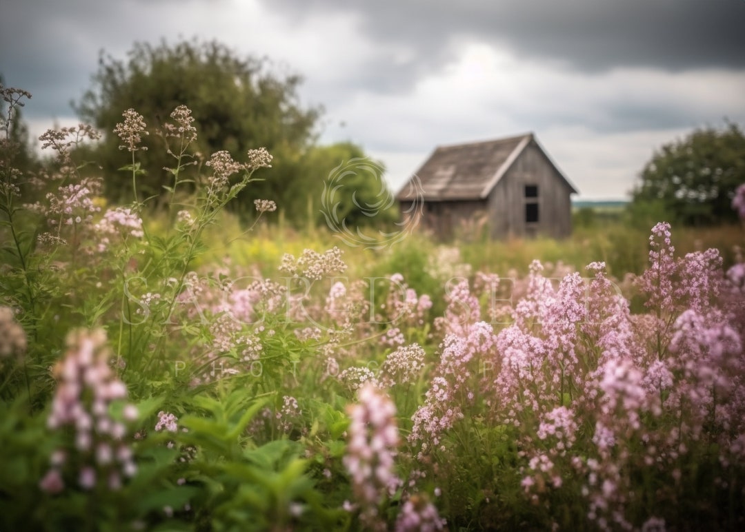 Cottage Meadow Cabin Hut, Wild Flowers, Spring Backdrop, Summer Digital ...