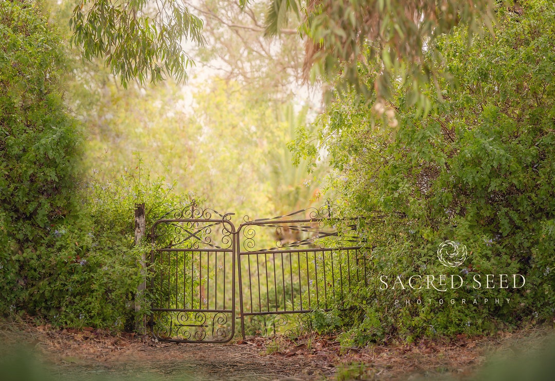 Old Metal Gate Digital Backdrop, Vintage Background, Maternity Outdoor ...