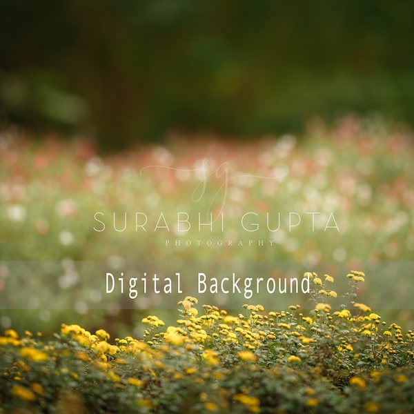 Flower Overlay Photoshop - Etsy