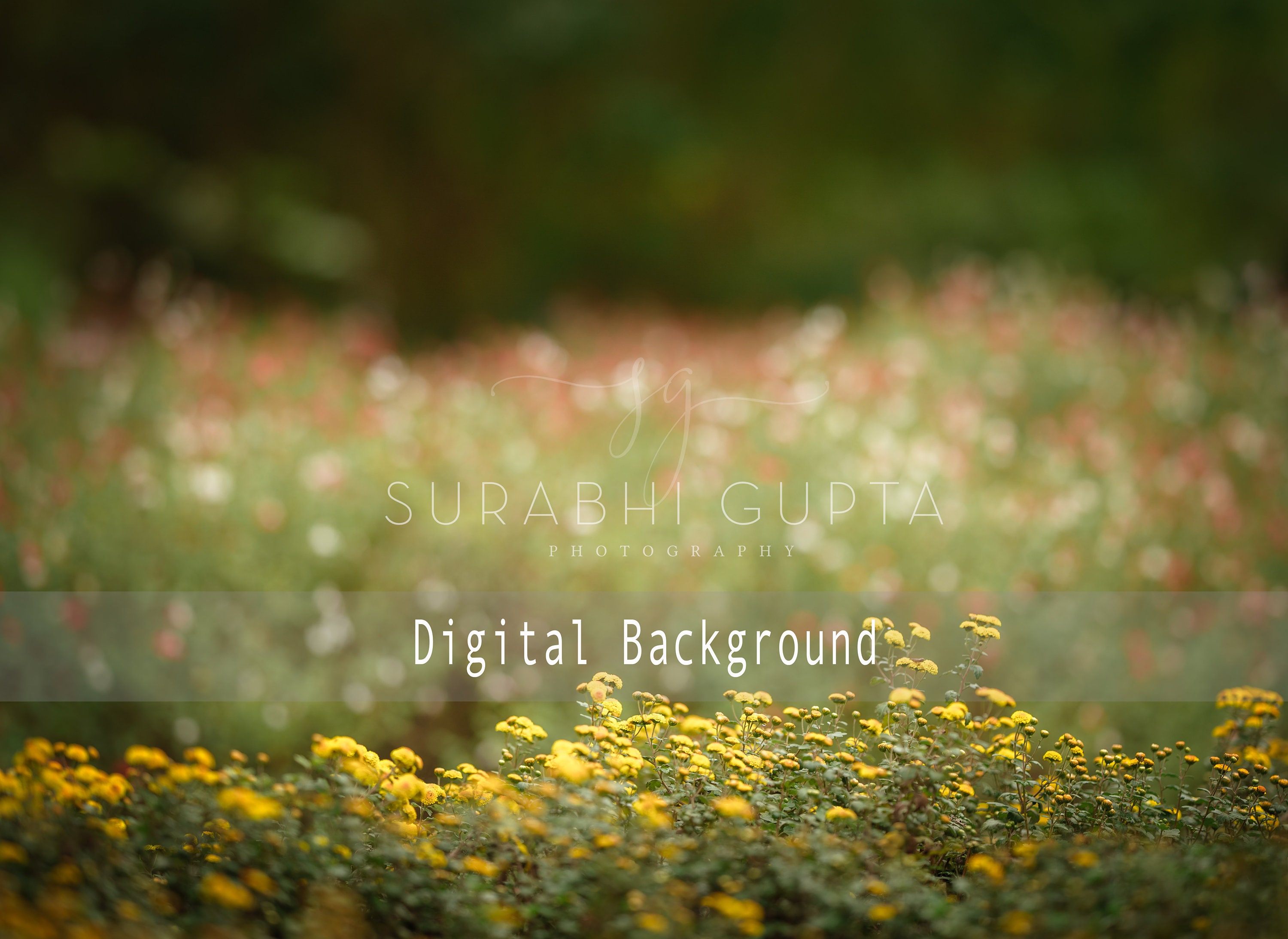 Yellow Wildflower Backdrop Overlay, Spring Backdrop, Summer Digital ...