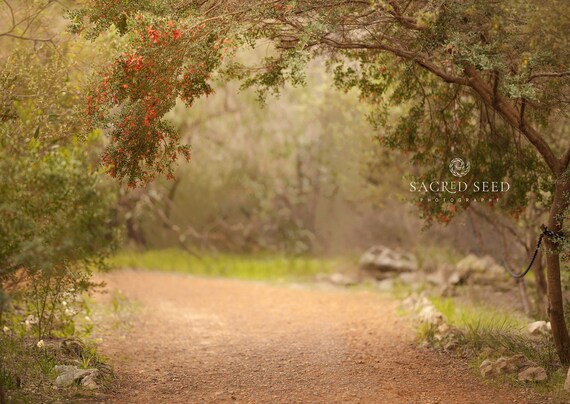 Red Hanging Branch Pathway Backdrop Overlay Flowers Spring - Etsy