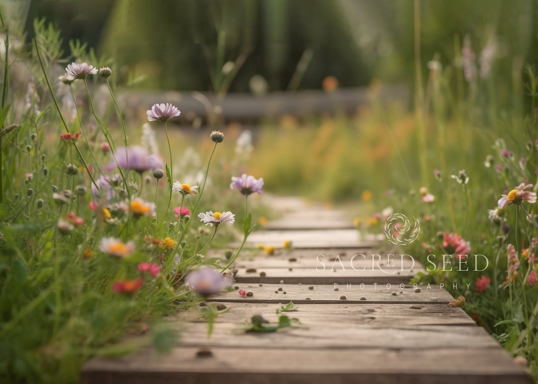 Wildflower, Wooden Pathway, Deck, Flowers, Spring Backdrop, Summer ...