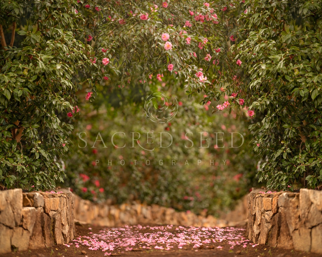 Pink Flower Bush, Hanging Branch Backdrop Overlay, Spring Backdrop ...