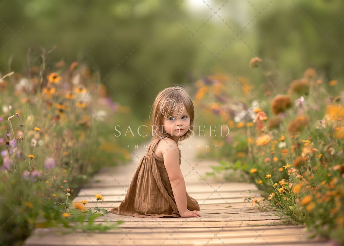 Wildflower, Wooden Pathway, Deck, Yellow Flowers, Pink Meadow, Spring ...