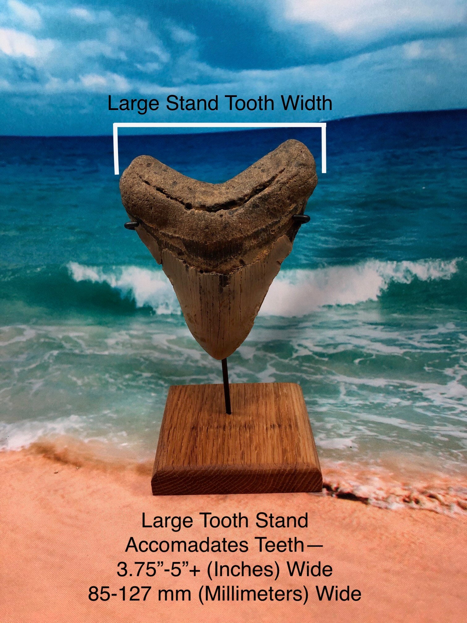 Custom Inverted Upright Metal Stand in Handcrafted Wood Base—-for ...