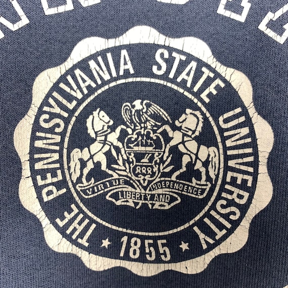 Rare! Vintage 1990s FRUIT PSU Pennsylvania State Univ… - Gem