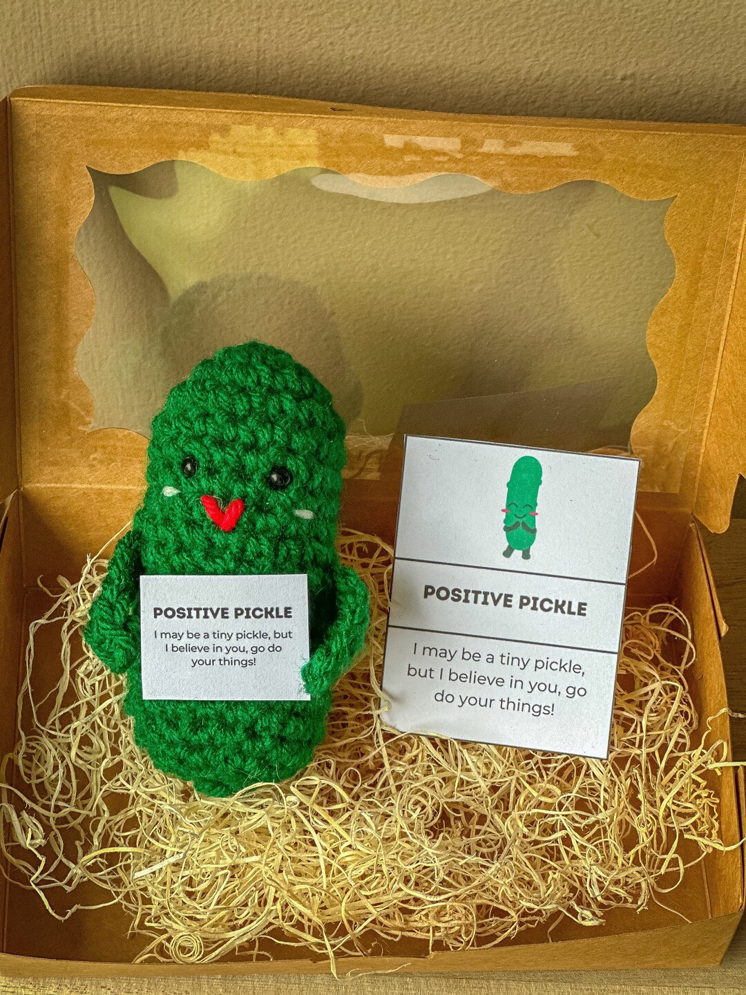 Positive Pickle Emotional Support Pickle Crochet Pickle - Etsy