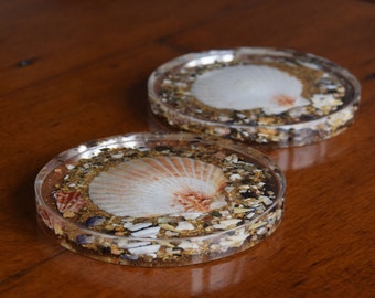Seashell Coasters - Etsy