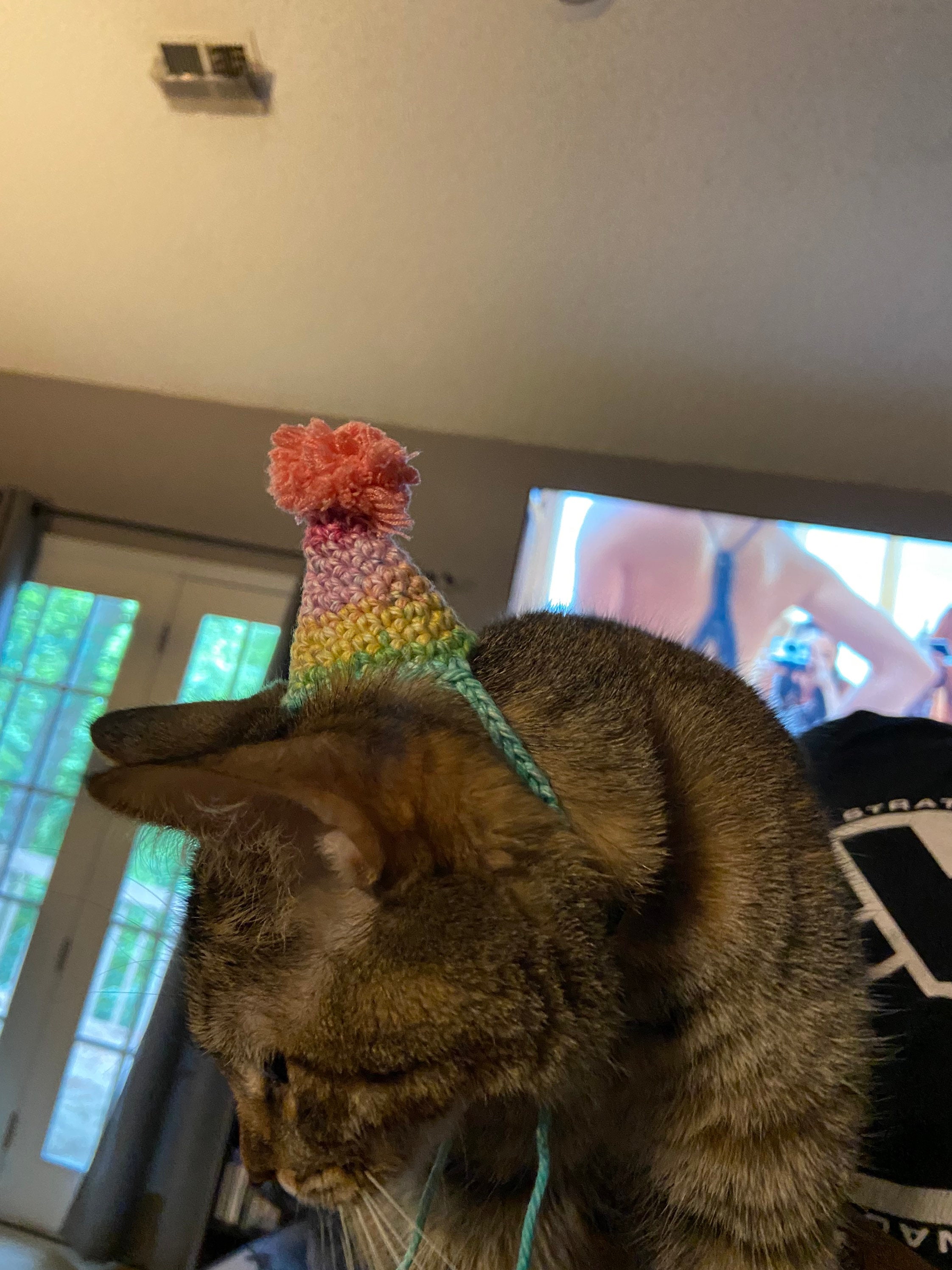 Cat Party Hat Made to Order - Etsy