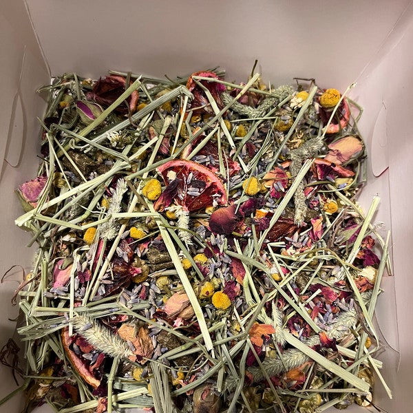 Rabbit Forage Box - Etsy