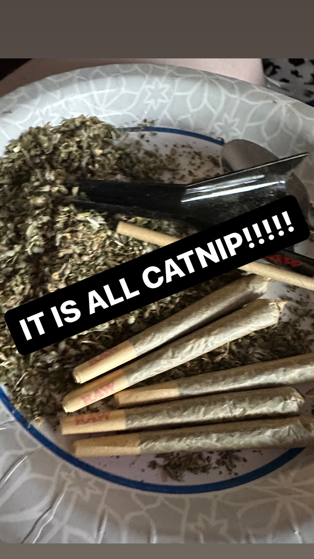 Kitty Joint Catnip Rolls for Cats - Etsy