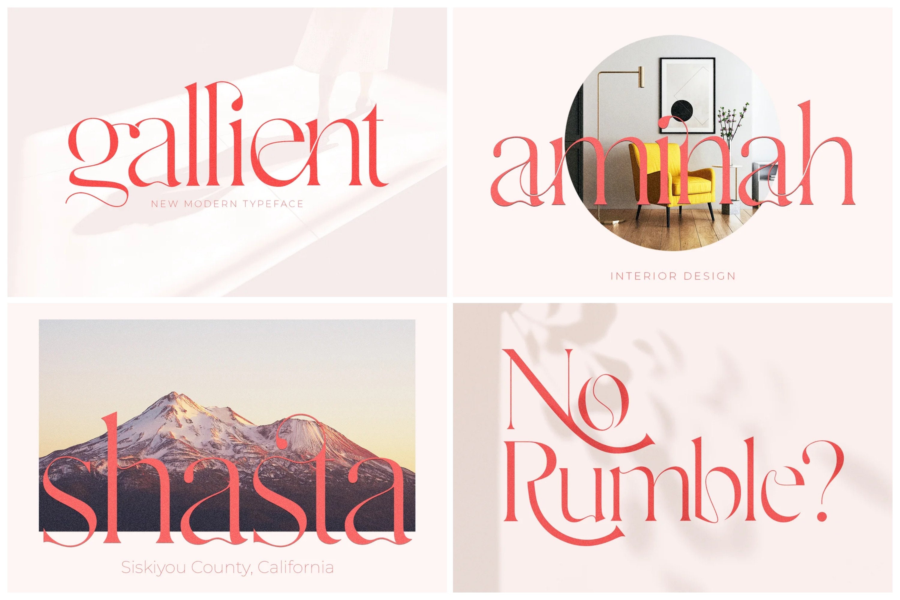 Exclusive Modern Font Bundle Serif Font, Branding Font, Font for ...