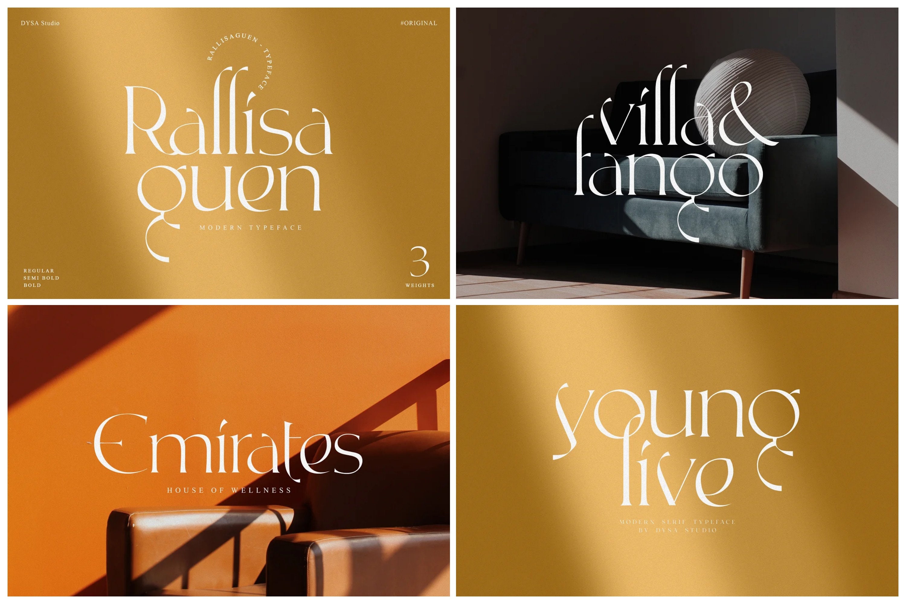 Exclusive Modern Font Bundle Serif Font, Branding Font, Font for ...