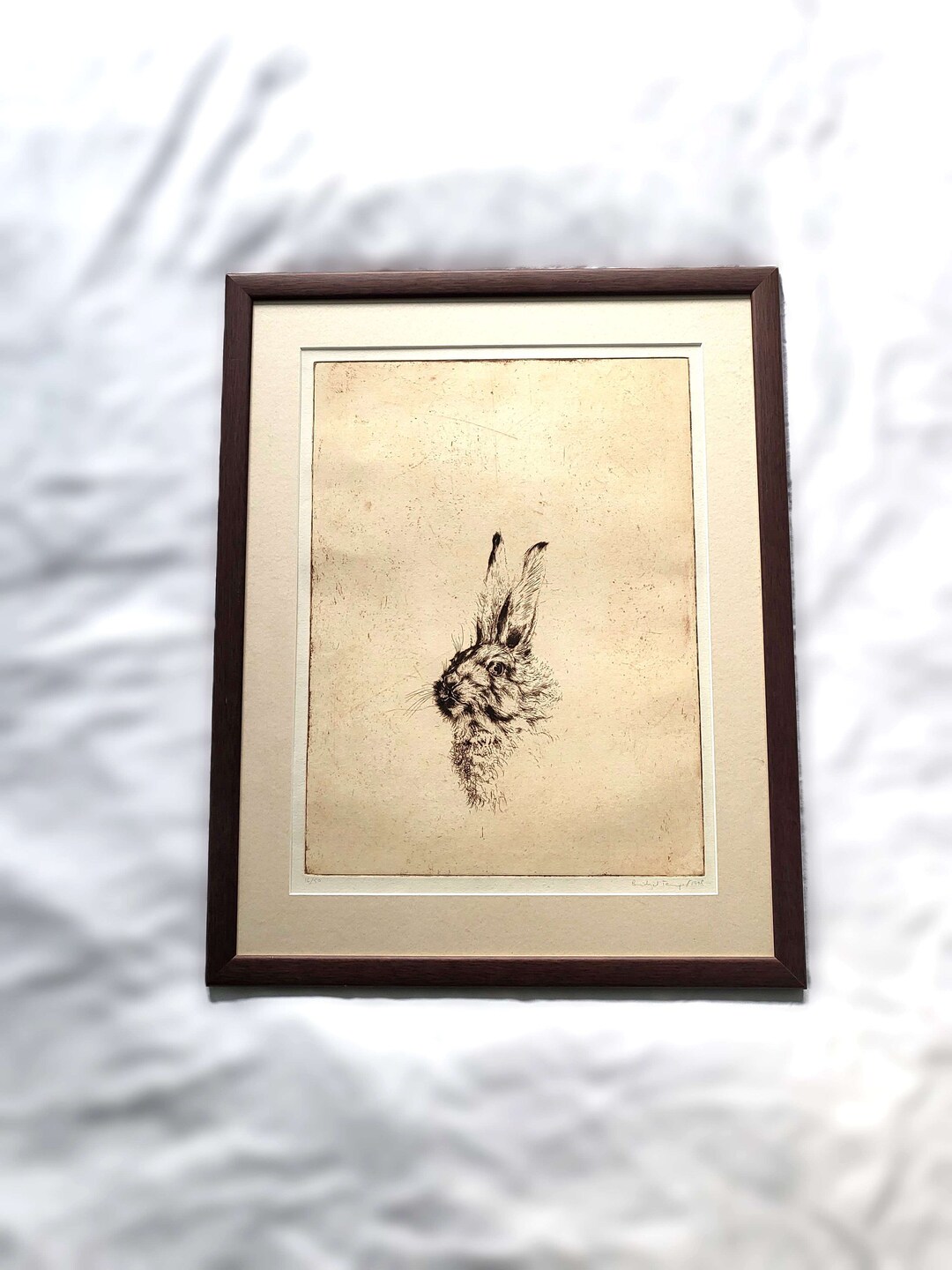 Bridget Tempest Engraving of a Hare, Limited Edition - Etsy