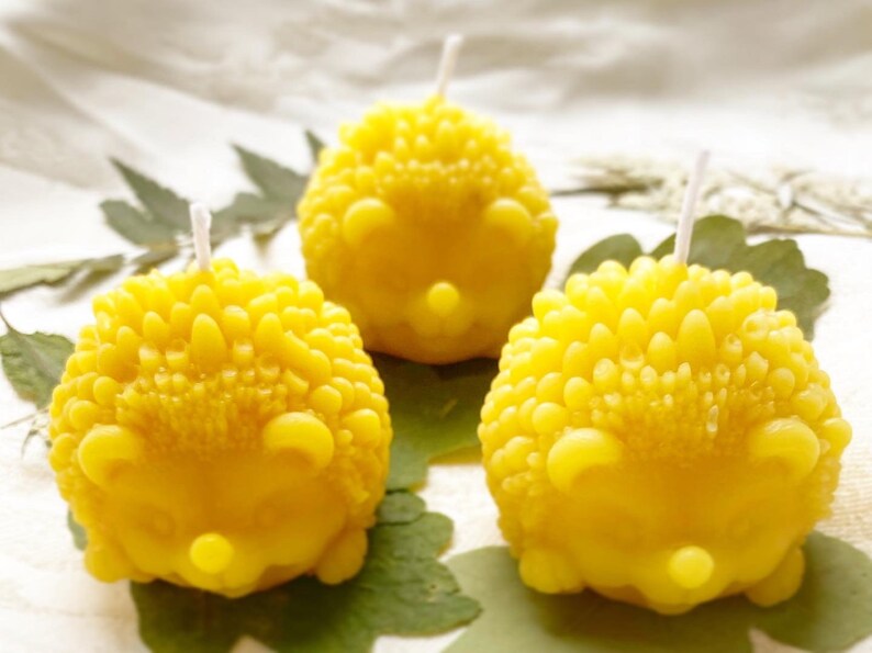Pure Bees Wax Hedgehog Candle. Handmade Animal Shape Gift for Nature ...