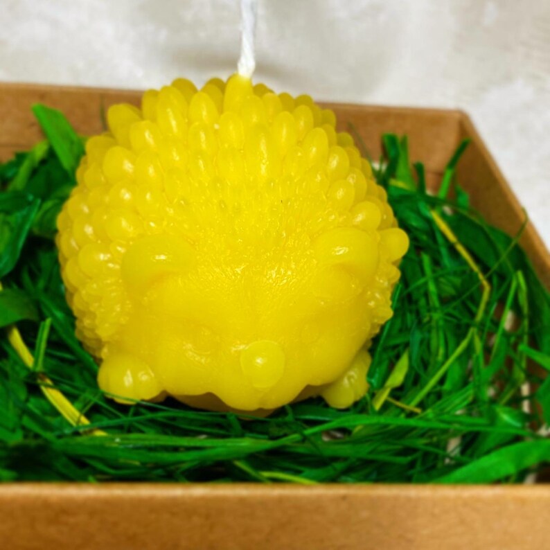 Pure Bees Wax Hedgehog Candle. Handmade Animal Shape Gift for Nature ...