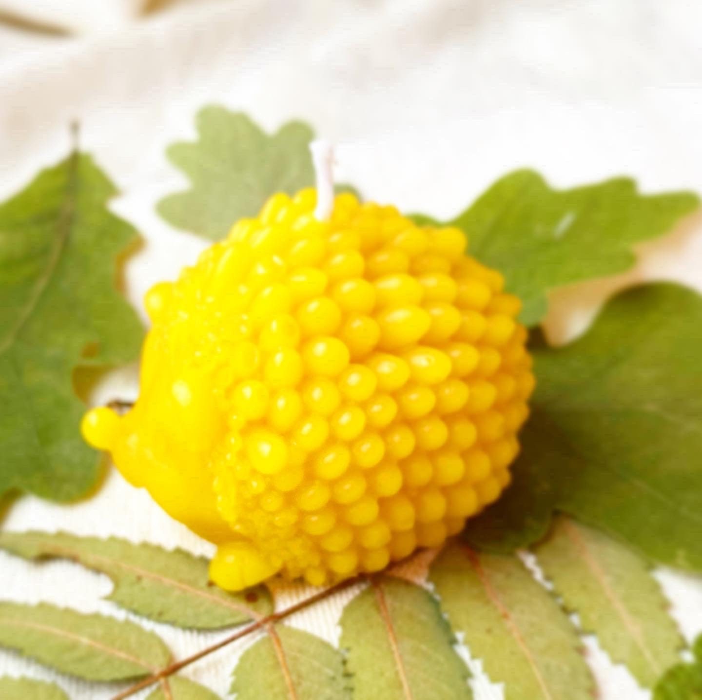 Pure Bees Wax Hedgehog Candle. Handmade Animal Shape Gift for Nature ...